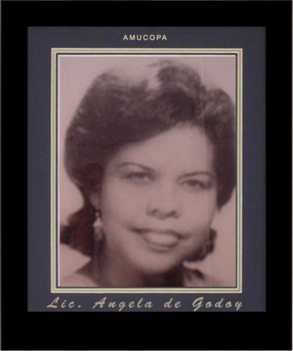 Galería de Expresidentas – AMUCOPA